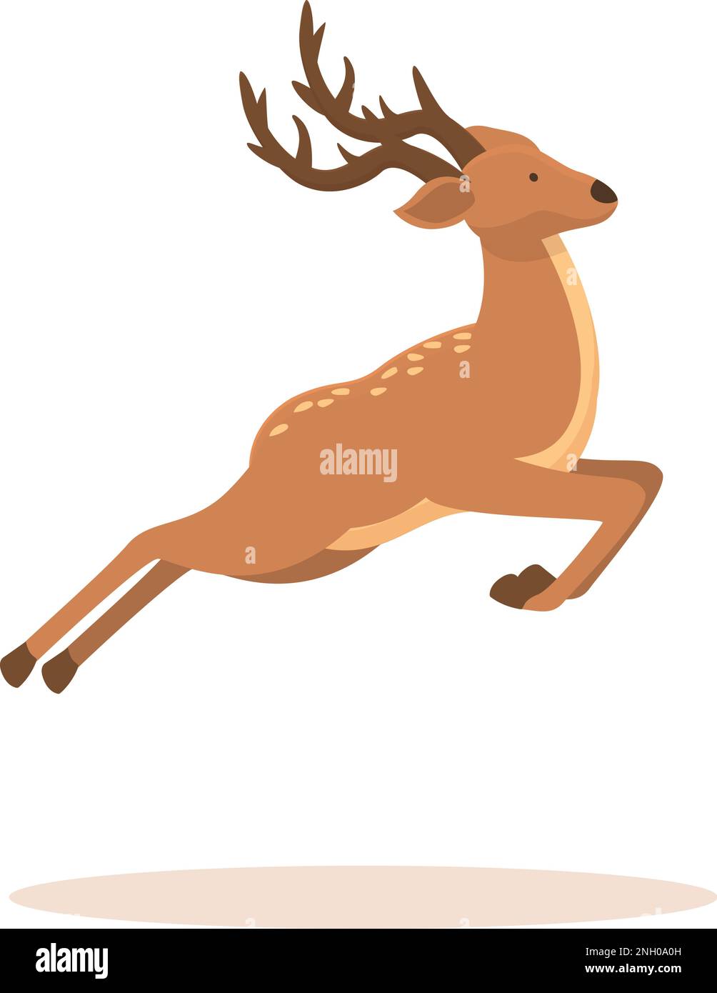 Spotted deer jumping hi-res stock photography and images - Alamy