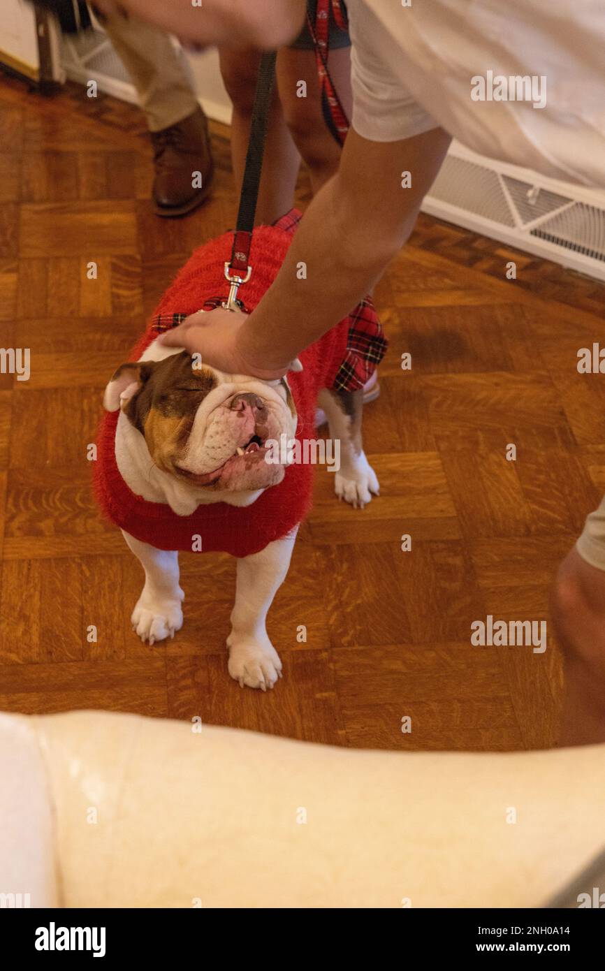 Marine Corps Recruit Depot Parris Island and Eastern Recruiting Region ...