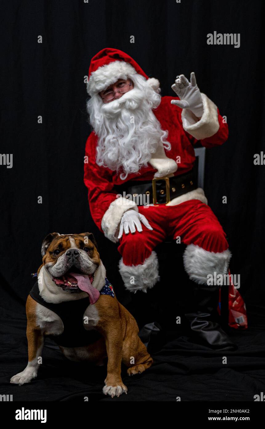 U.S Marine Corps Cpl. Manny, the mascot of Marine Corps Recruit Depot ...