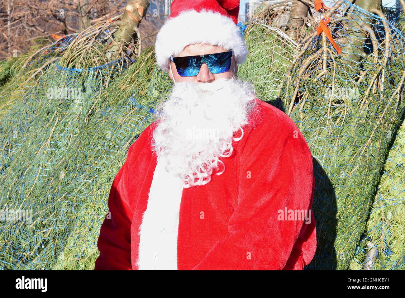 Santa Claus helps oversee unloading of more than 1,200 Christmas trees ...