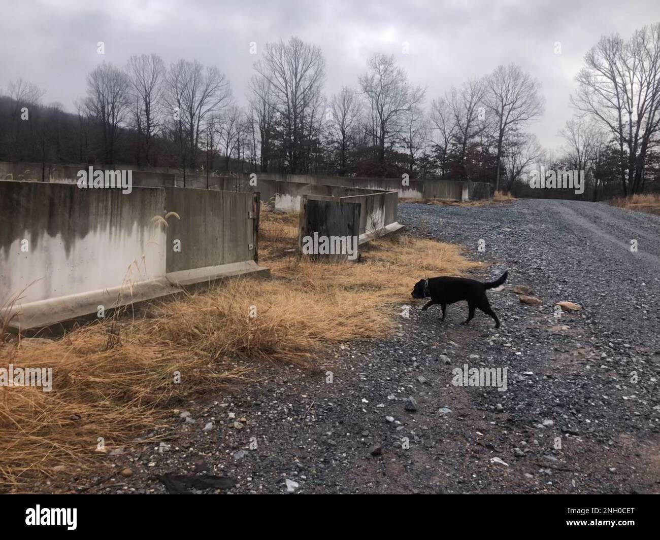 Pennsylvania canine search and rescue hi-res stock photography and ...