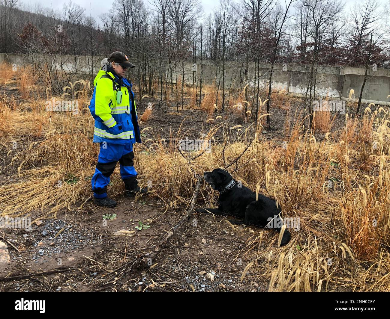 Approximately 10 members of the Pennsylvania Canine Search and Rescue ...