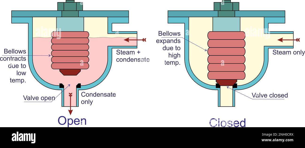 Thermostatic Steam Trap Stock Vector Image & Art - Alamy