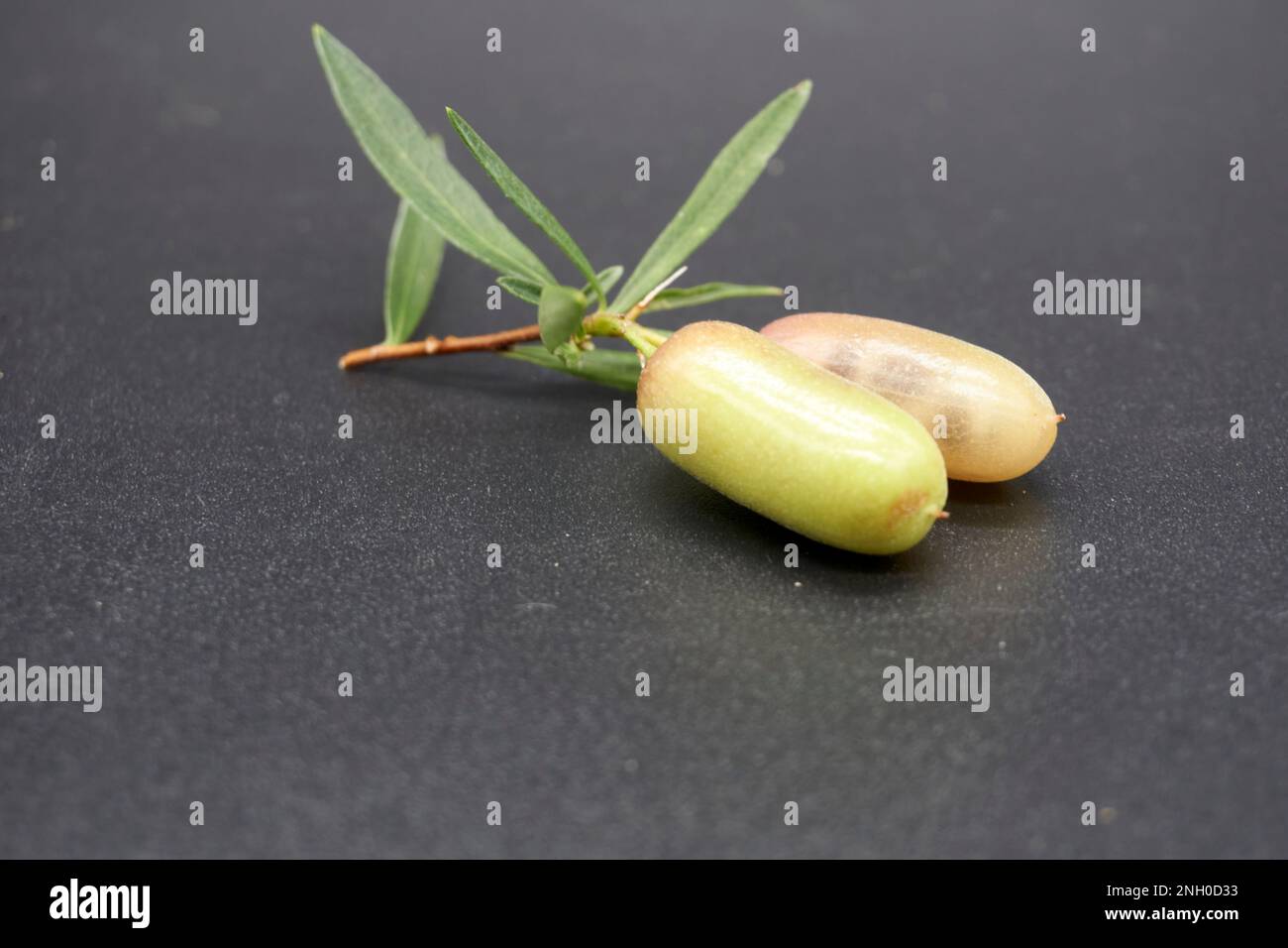 Australian native fruit hi-res stock photography and images - Alamy