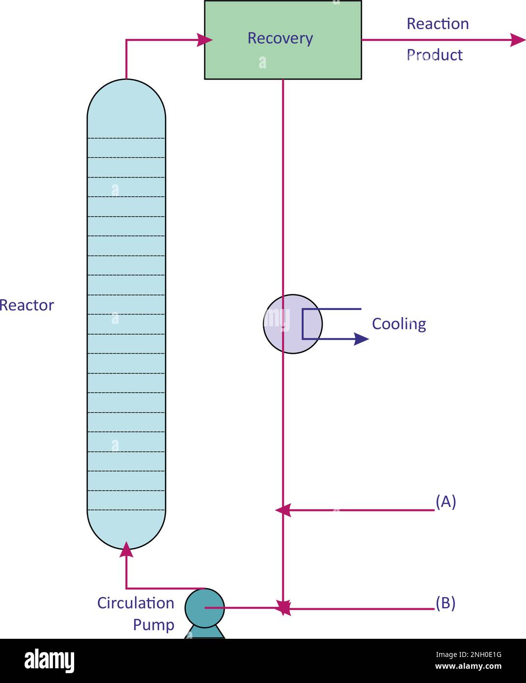 Circulation Reaction System Stock Vector Image & Art - Alamy