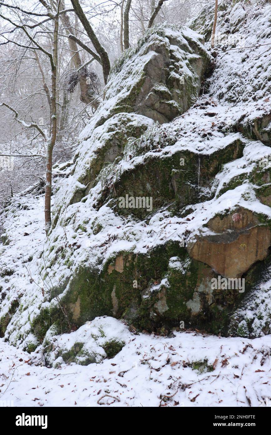 Large rock covered in snow on a winter day in the Palatinate Forest of ...
