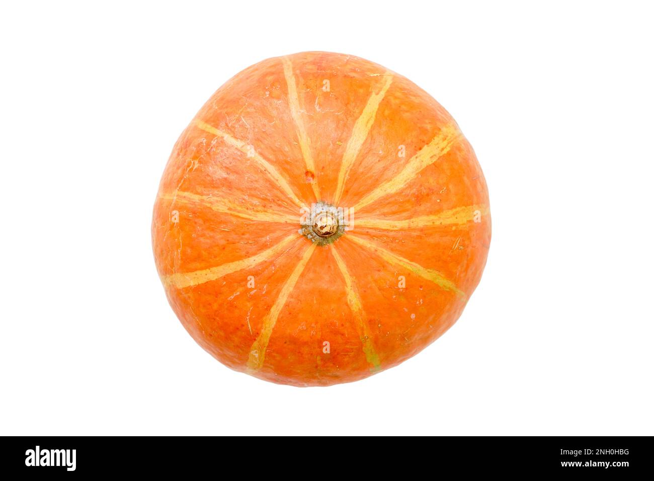 One 1 white pumpkin halloween decoration hi-res stock photography and ...