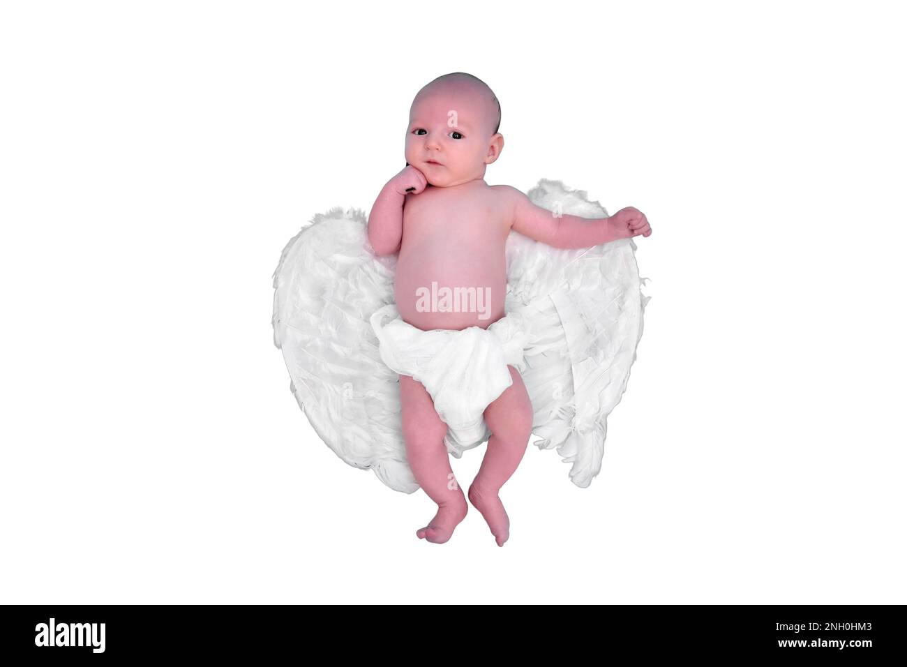 A newborn baby boy with white angel wings, isolated on a white ...
