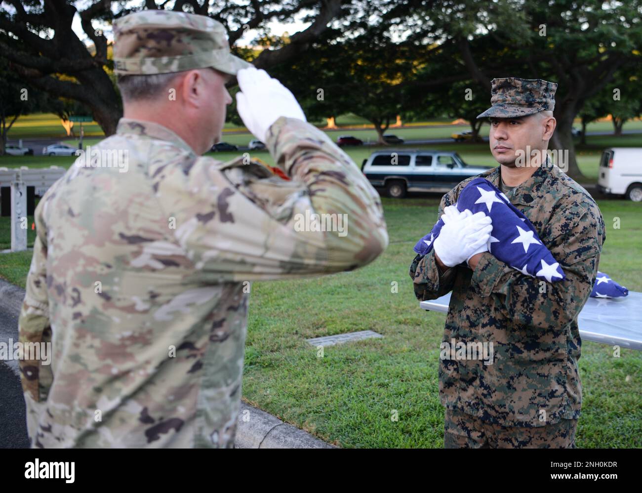 A member of the Defense POW/MIA Accounting Agency (DPAA) renders a ...