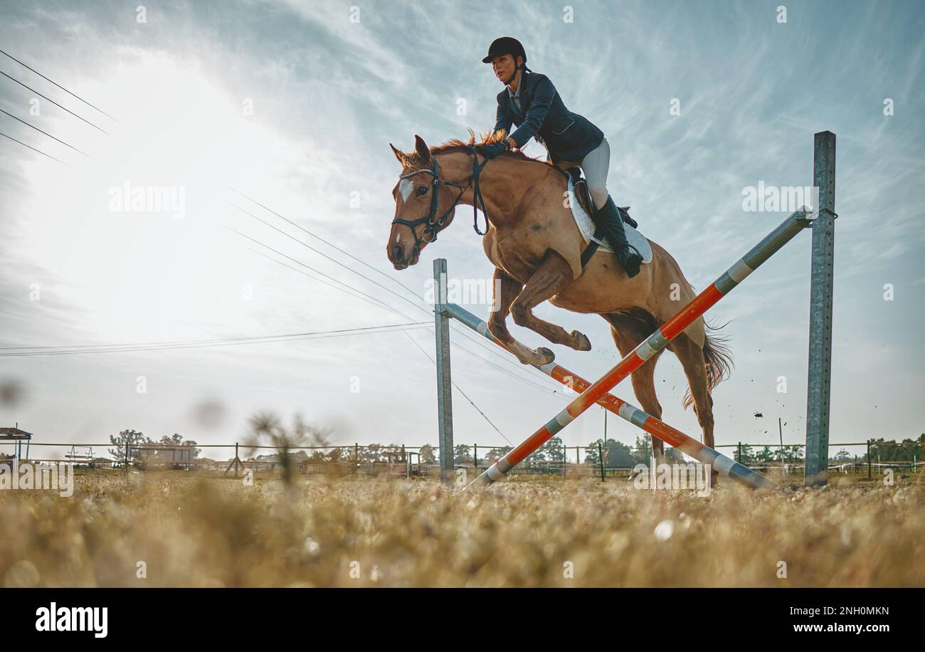 Training, jump and woman on a horse for a course, event or show on a ...