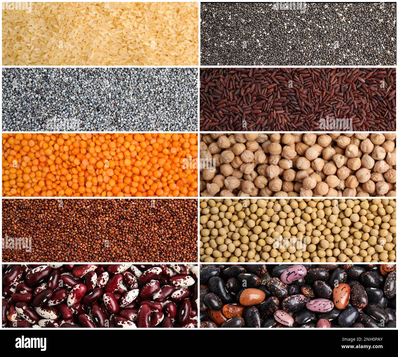 Collage with photos of different legumes and seeds. Vegan diet Stock ...