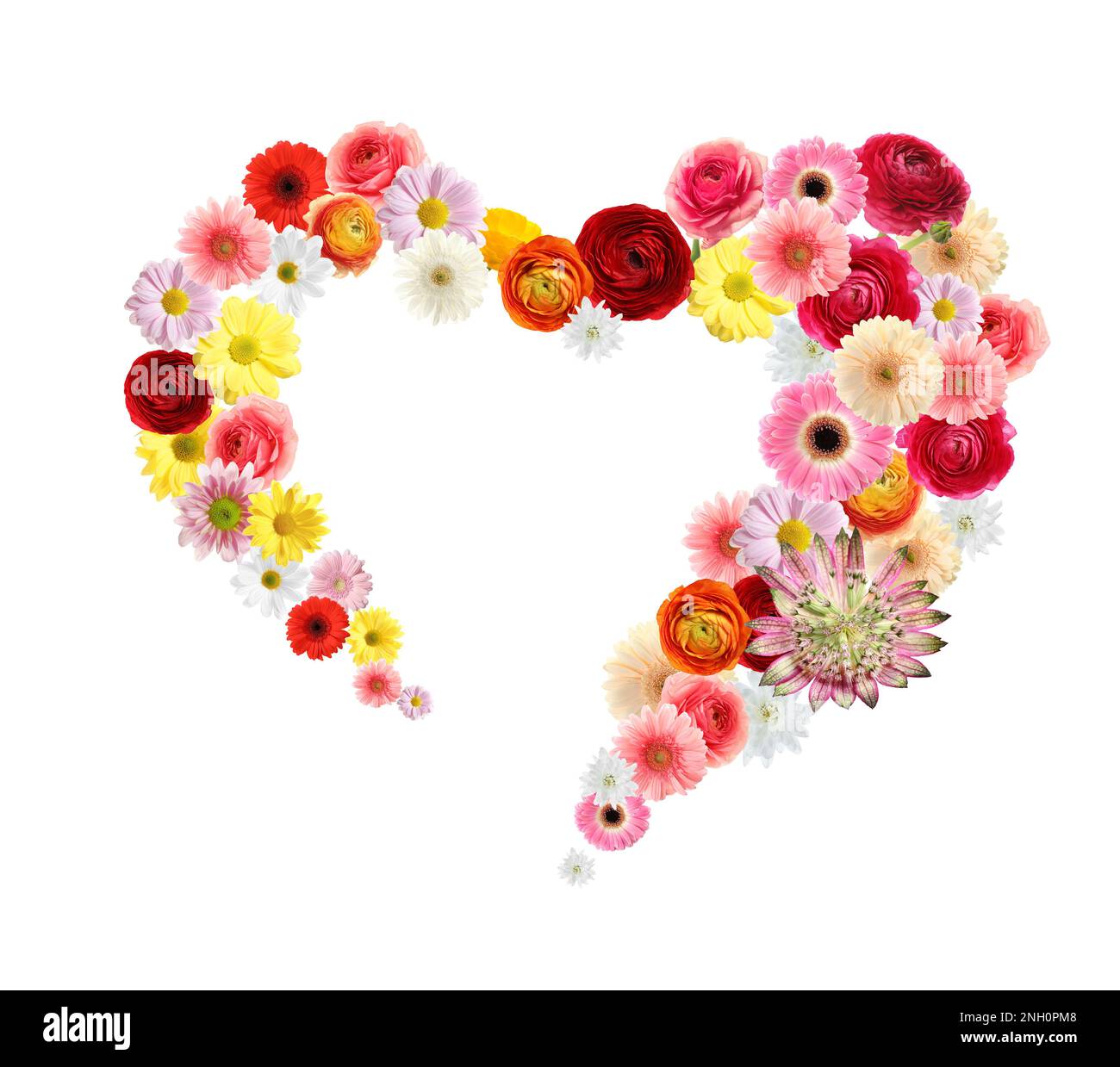 Beautiful heart shaped composition made with tender flowers on white ...