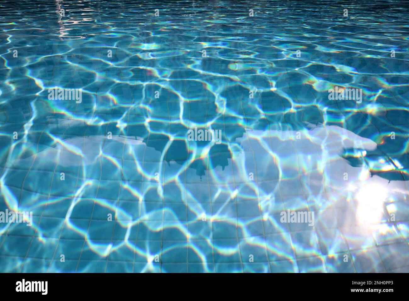 Underwater view empty pool hi-res stock photography and images - Alamy