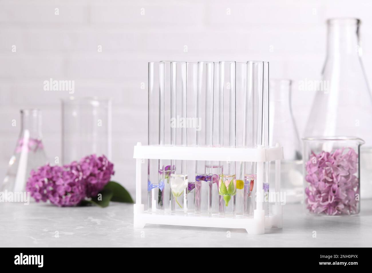 Test tubes with different flowers on light table. Essential oil ...