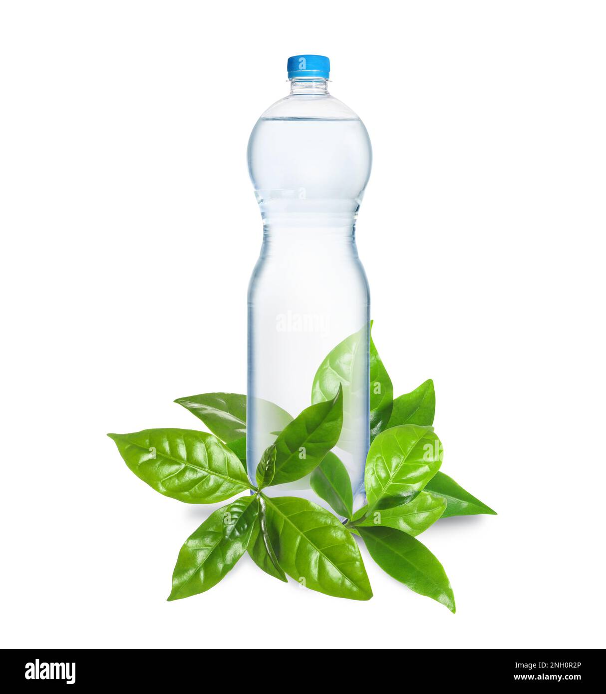 Bottle made of biodegradable plastic and green leaves on white ...