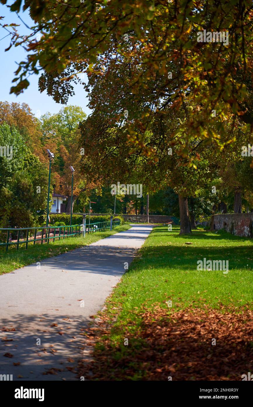 Photo of a walking path in a city recreation park in summer Stock Photo ...