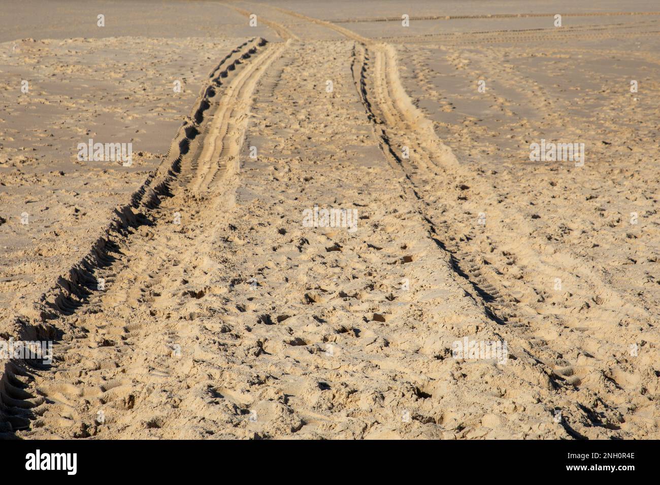 Car tyre print on sand desert coastal beach from buggy Stock Photo - Alamy