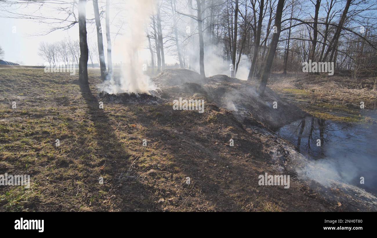 Burning grass in forest belt hi-res stock photography and images - Alamy