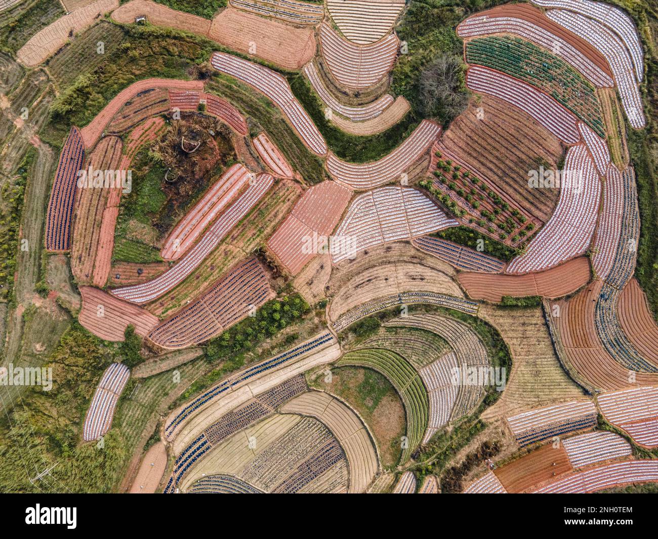 Aerial photo shows the colorful fields in Yongning District, Nanning City, south China's Guangxi ...