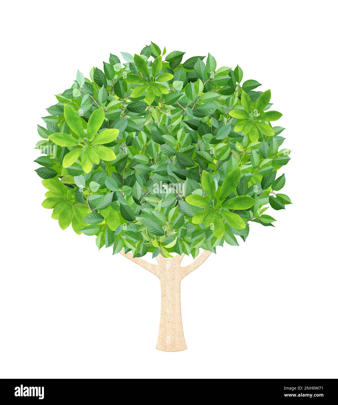 Tree in paper cut style and green leaves. Sustainable development of ...