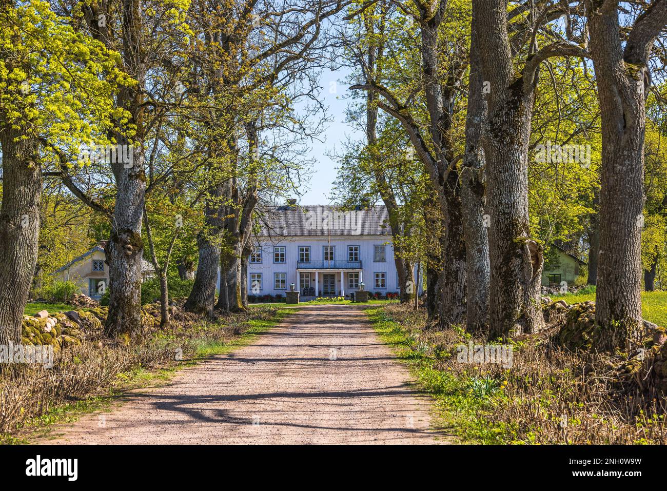 Tree lined road to a manor house in the Swedish countryside Stock Photo ...