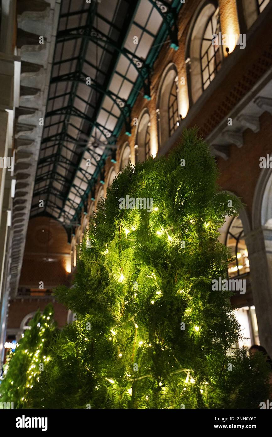 Interior ceiling and lighting decoration at popular local community ...