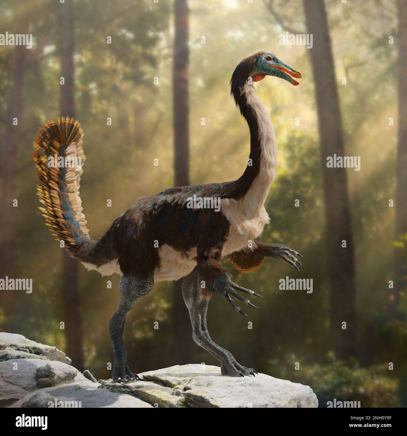 Gallimimus, feathered theropod dinosaur that lived during the Late ...