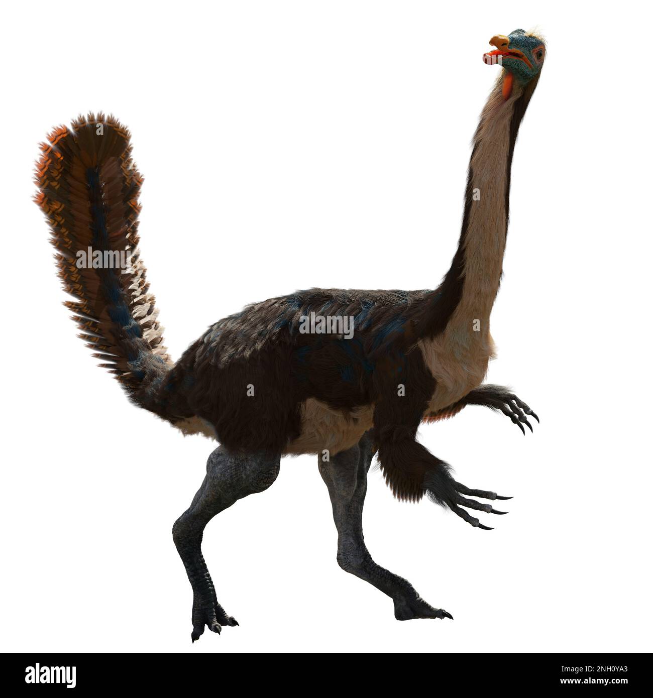 Gallimimus, feathered theropod dinosaur that lived during the Late ...