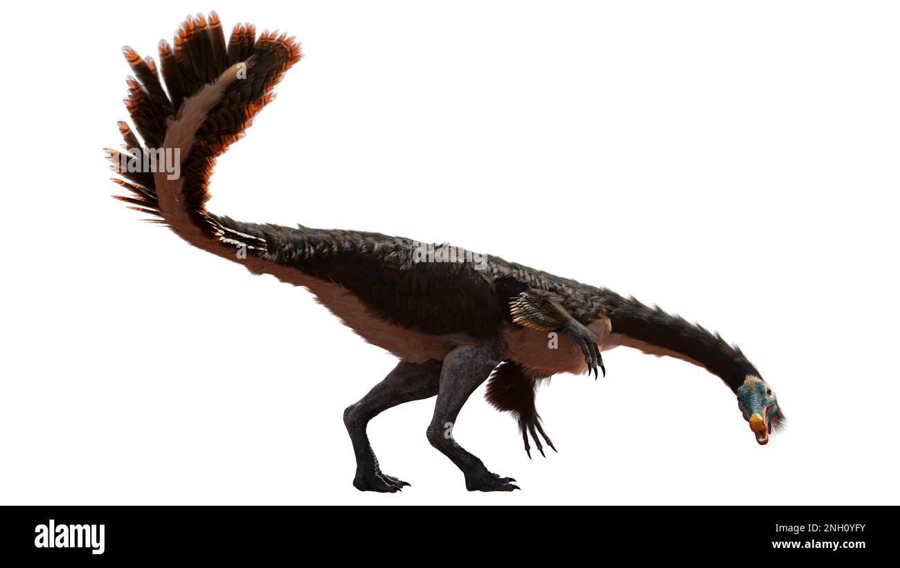 Gallimimus, theropod dinosaur from the Late Cretaceous period, isolated ...