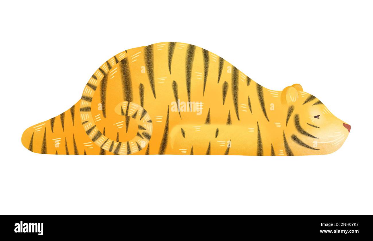 Nice lazy tiger. Tiger isolated on a white background Stock Photo - Alamy