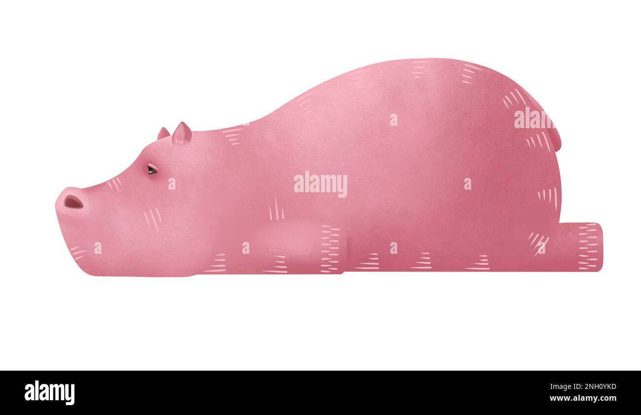 Nice lazy hippo. Hippopotamus isolated on white background Stock Photo ...
