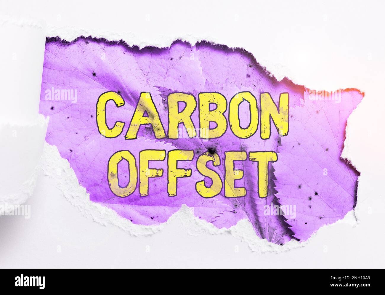 Conceptual caption Carbon Offset, Business idea Reduction in emissions ...