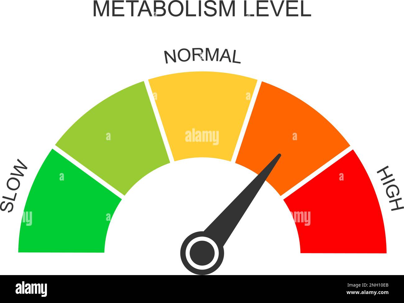 Metabolism meter dashboard with arrow. Metabolic levels from slow to ... Metabolism meter dashboard with arrow. Metabolic levels from slow to ...