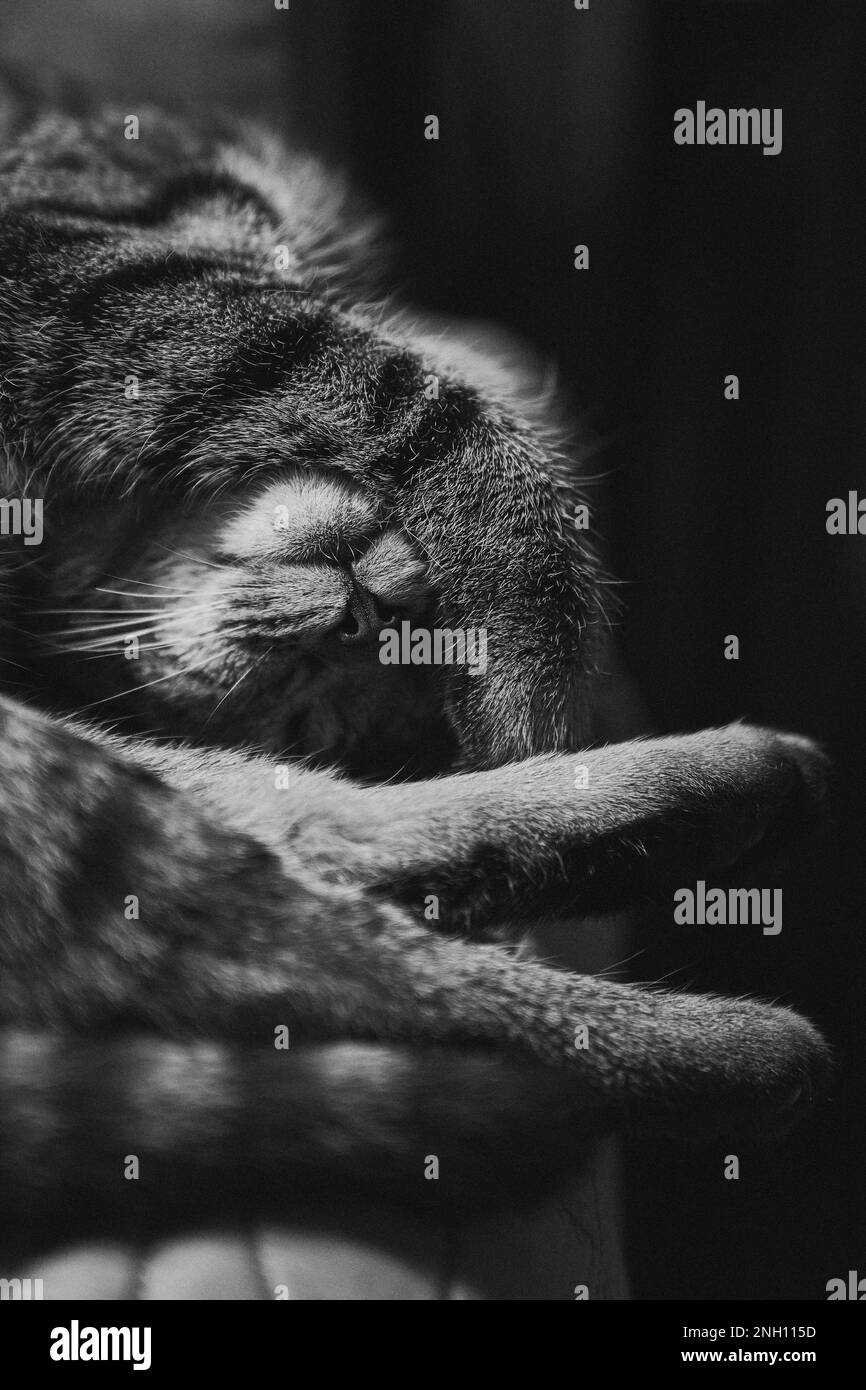 Lights off Black and White Stock Photos & Images - Alamy