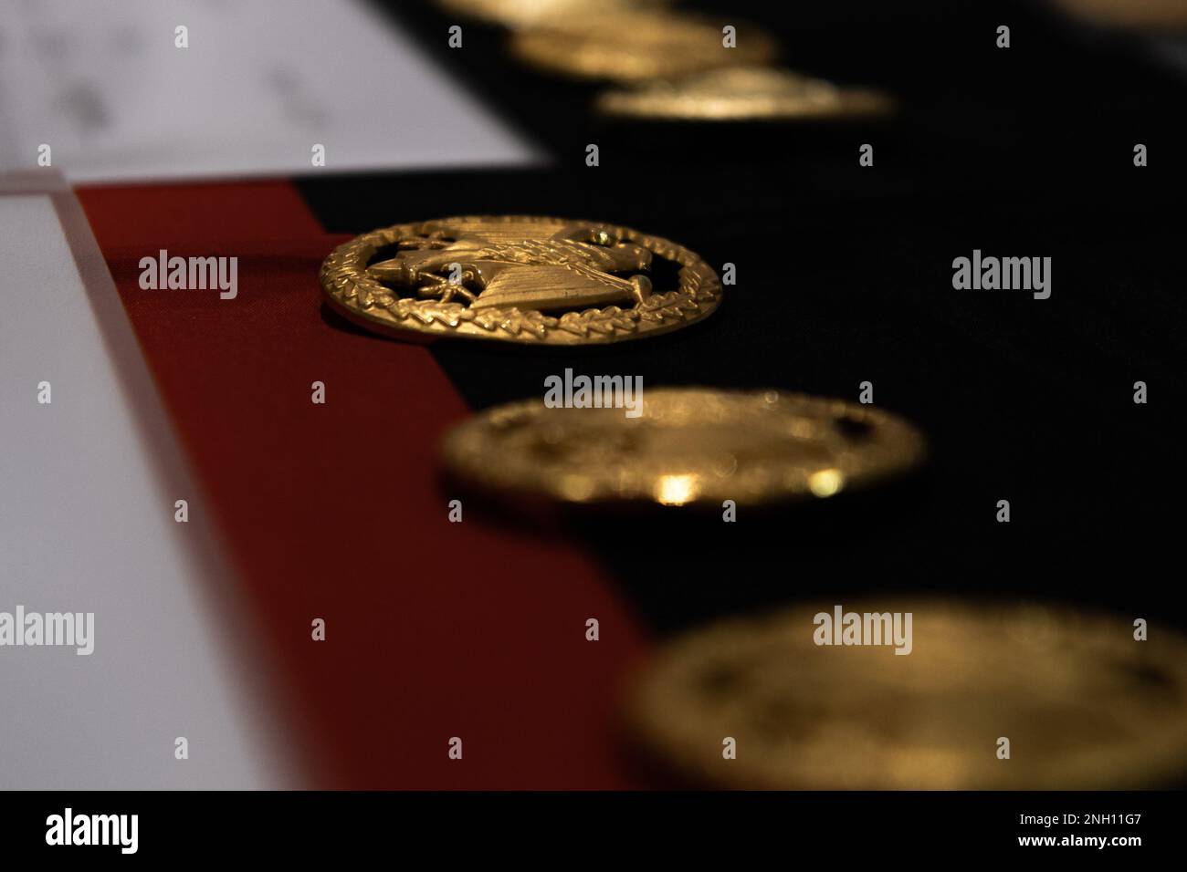 A ceremony was held for German Armed Forces Military Proficiency Badge ...