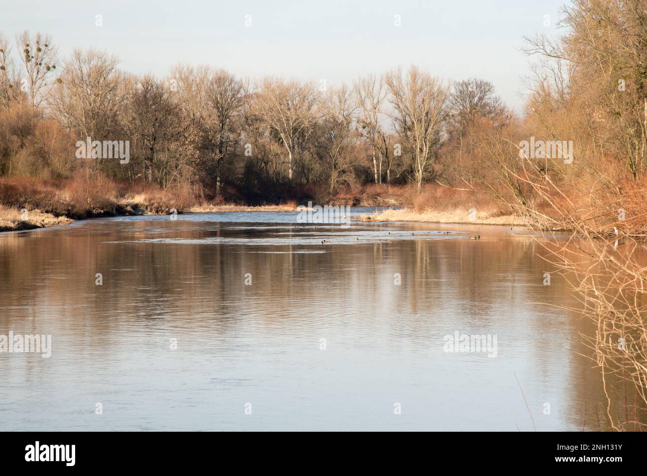 River with trees around and blue sky - Odra river near Bohumin city on ...
