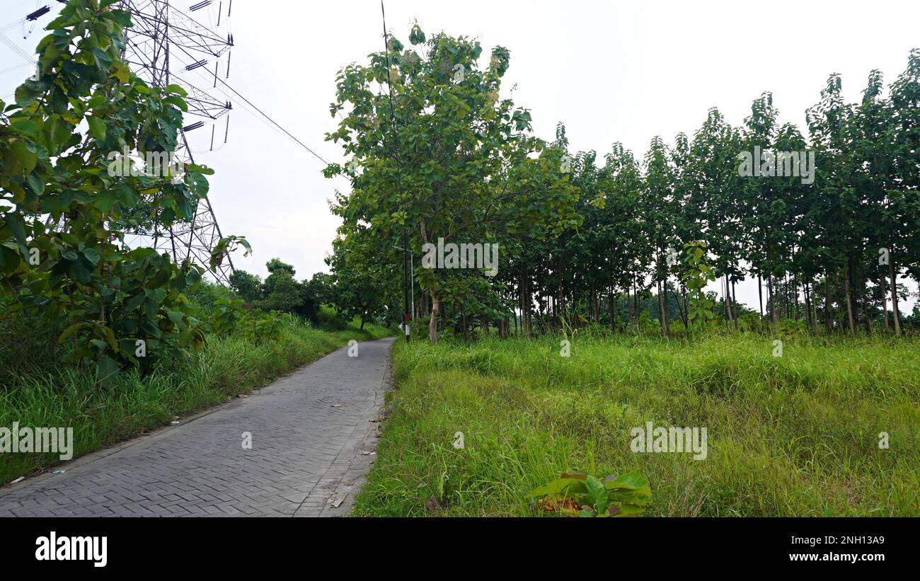 a quiet empty village rural road with a tranquil and cool natural feel ...