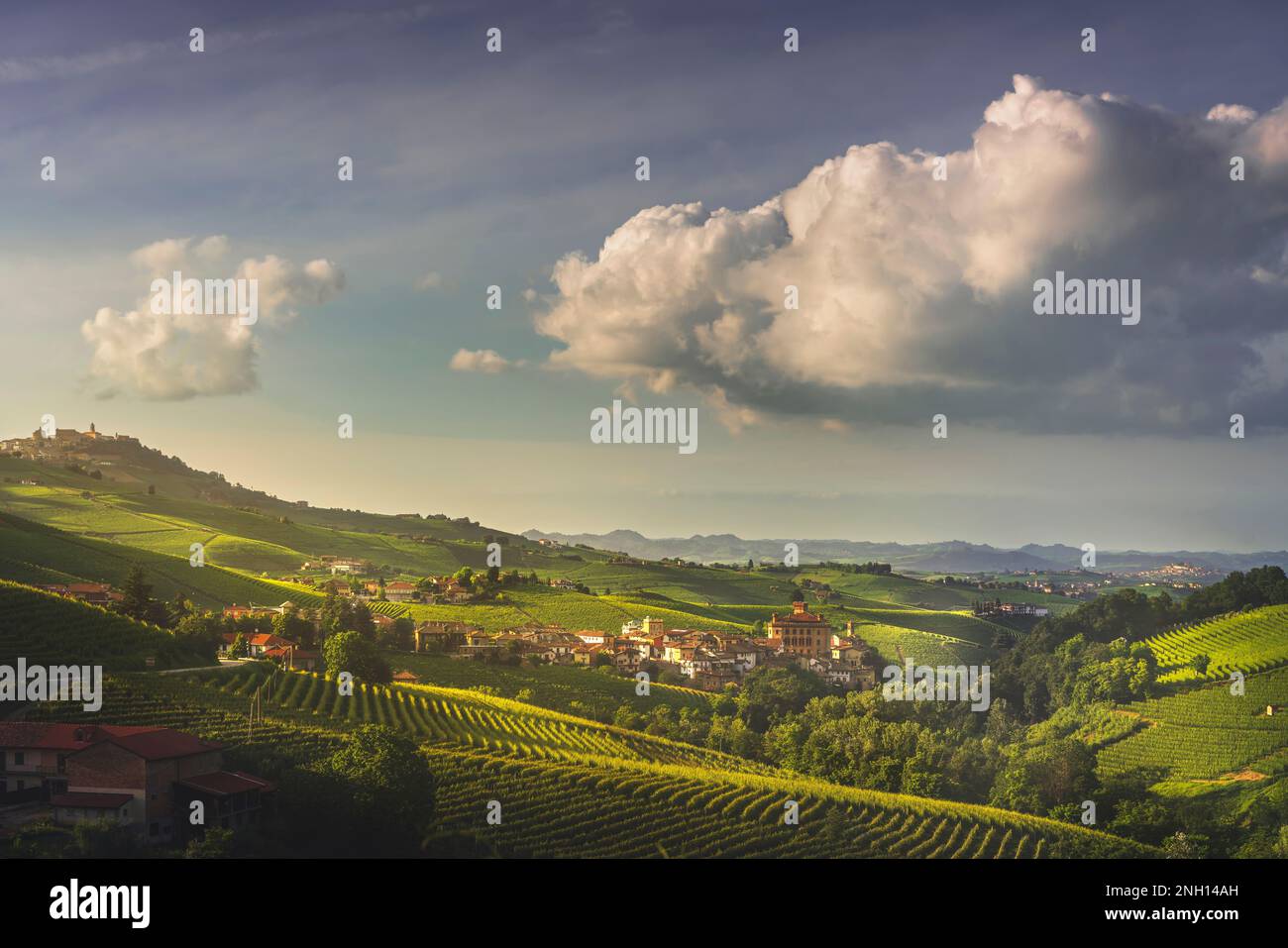 Langhe vineyards landscape at sunset, Barolo village in the middle and ...