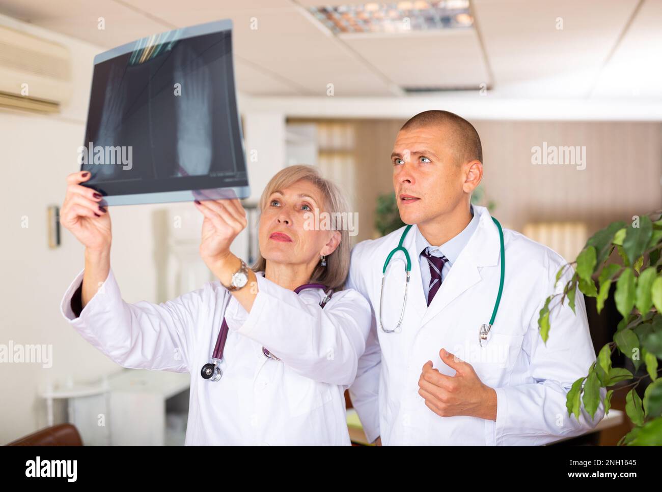 Two doctors analyzing roentgenogram Stock Photo - Alamy