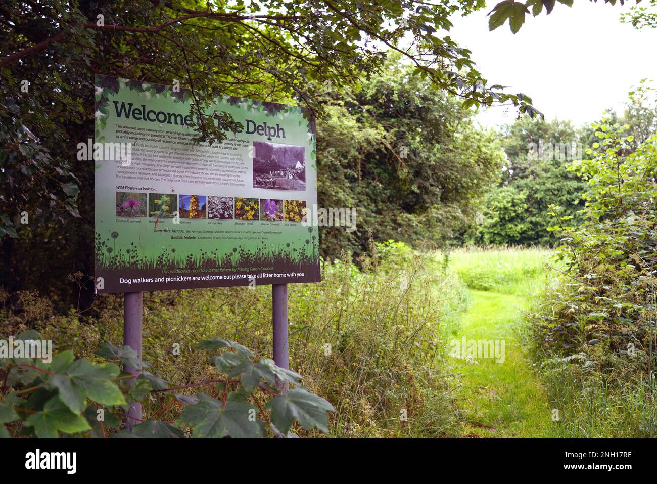 Quarry reclaimed by nature hi-res stock photography and images - Alamy