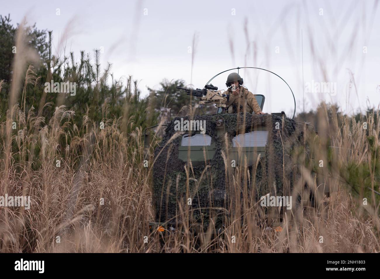 U.S. Marines with 3d Battalion, 12th Marines execute a simulated fire ...