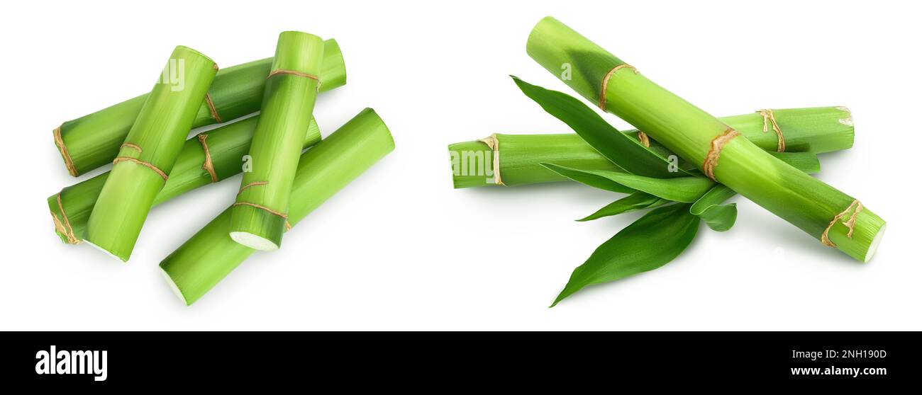 Green bamboo isolated on white background with full depth of field. Top ...