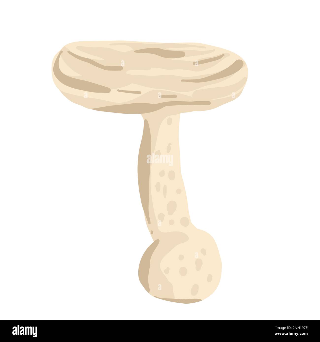 mushrooms in the hand drawing style. Psychedelic abstract mushrooms ...