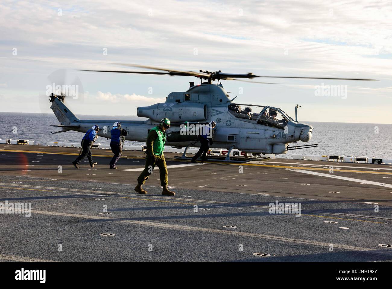 Chain viper hi-res stock photography and images - Alamy