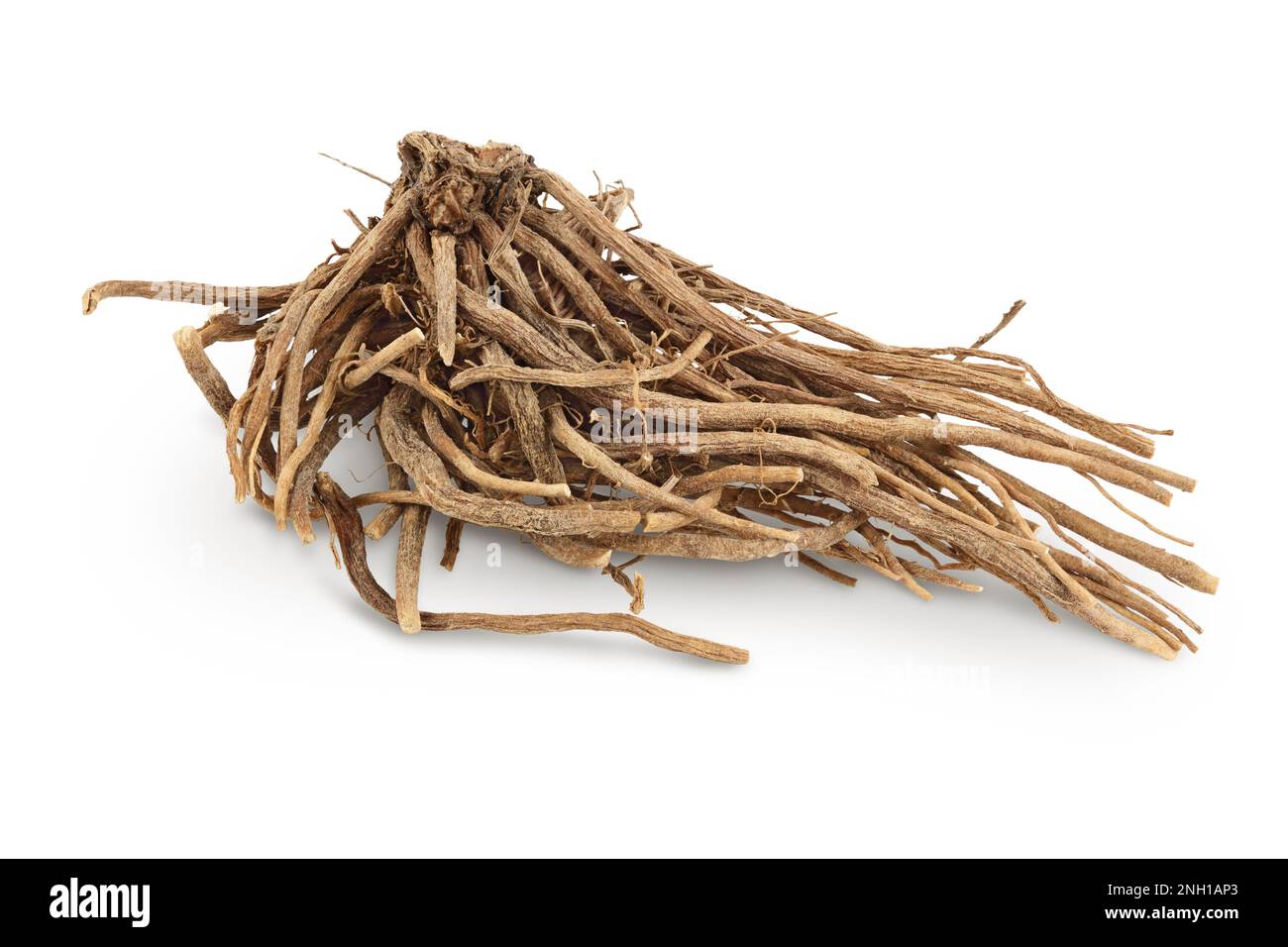 Dried Valerian root isolated on white background. Valeriana officinalis ...