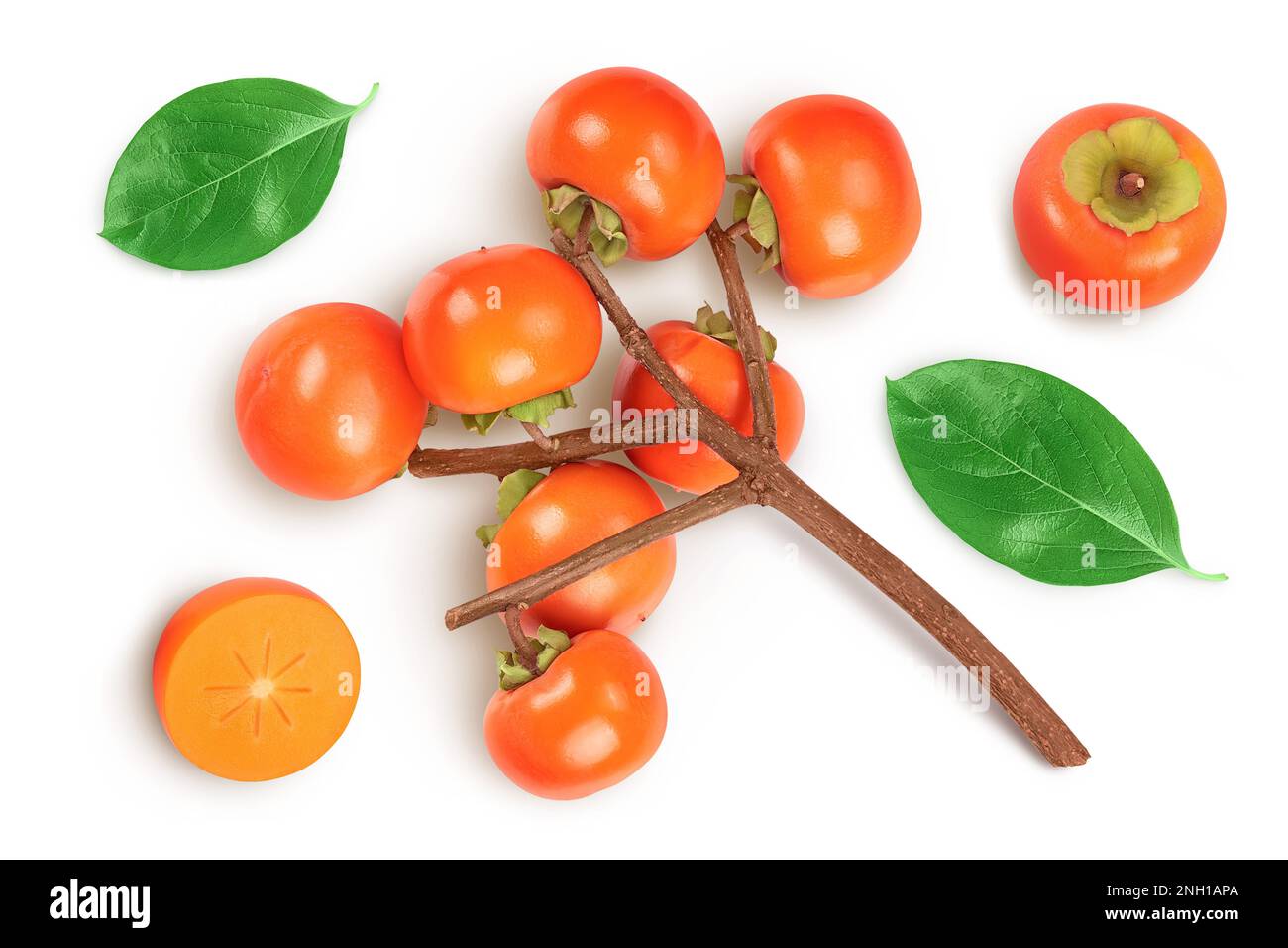 Persimmon fruit on the branch isolated on white background with full ...