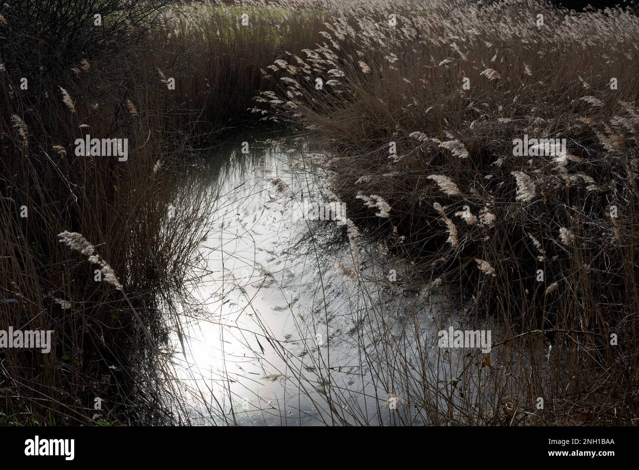 Darford marshes hi-res stock photography and images - Alamy