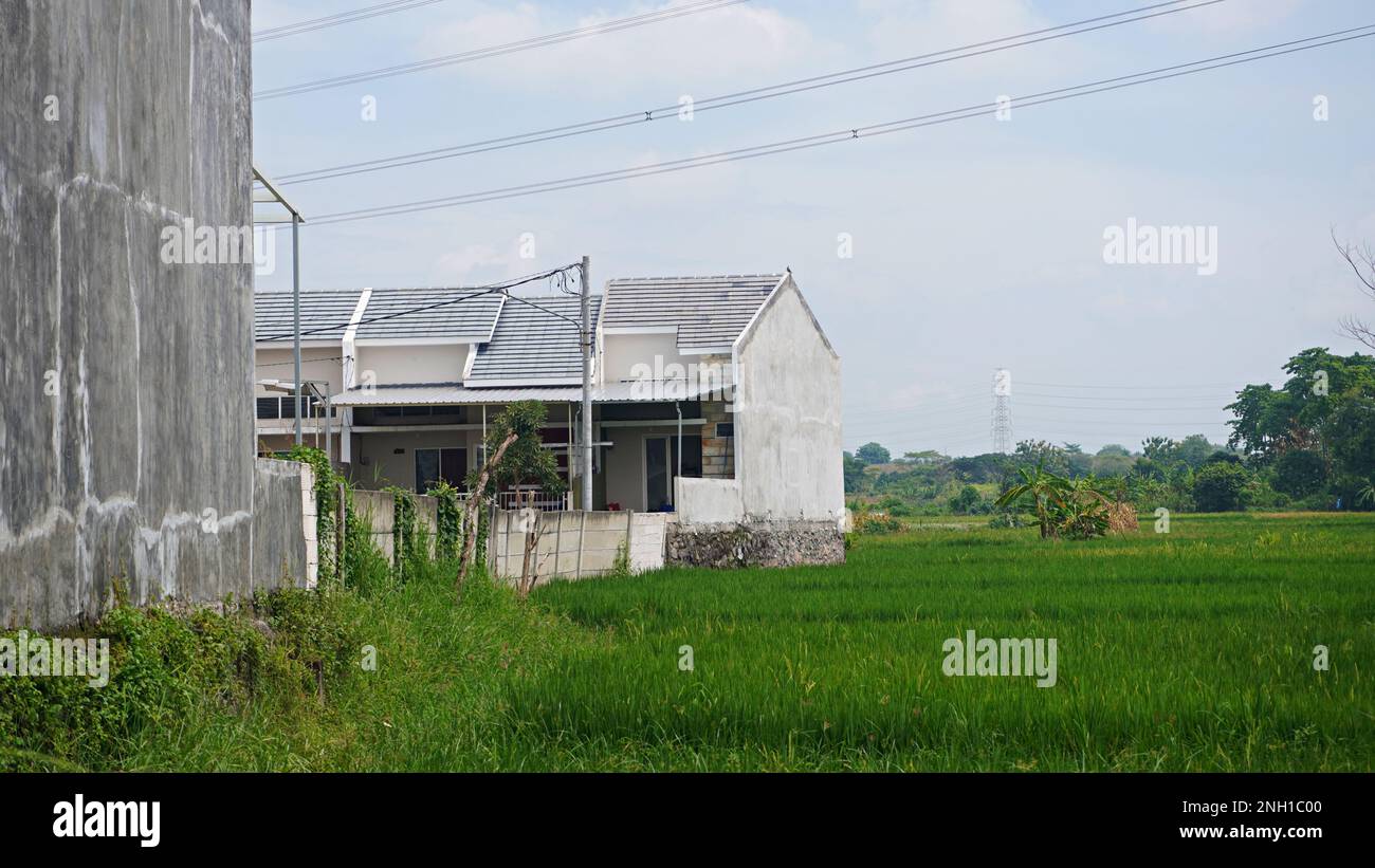 House near the rice paddy field in the rural village Stock Photo - Alamy