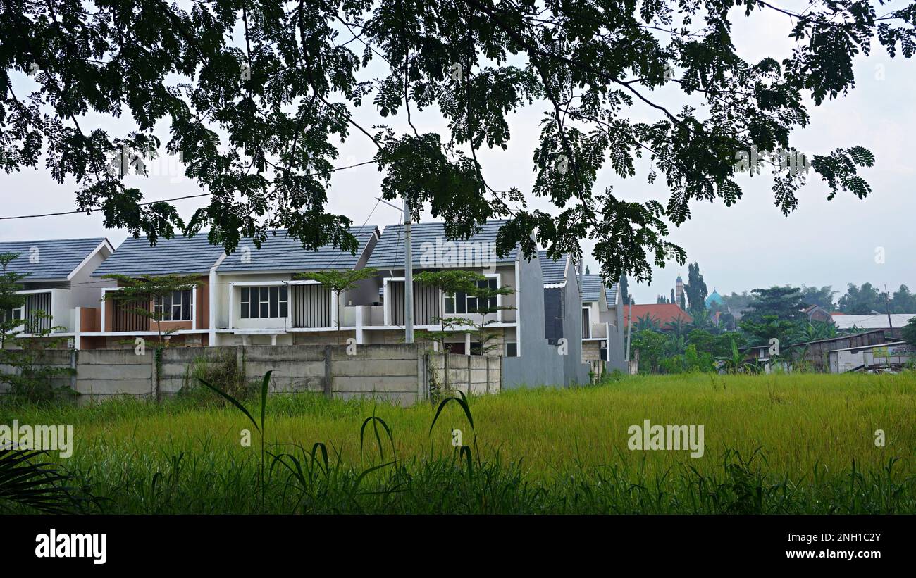 House near the rice paddy field in the rural village Stock Photo - Alamy