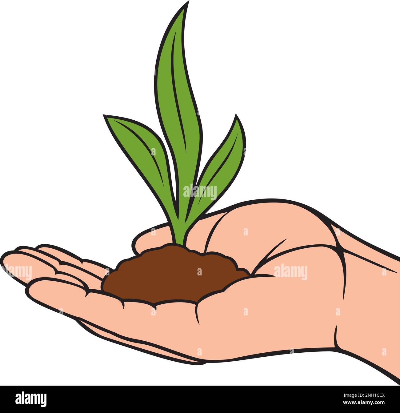 Hand holding plant with leaves. Vector illustration Stock Vector Image ...